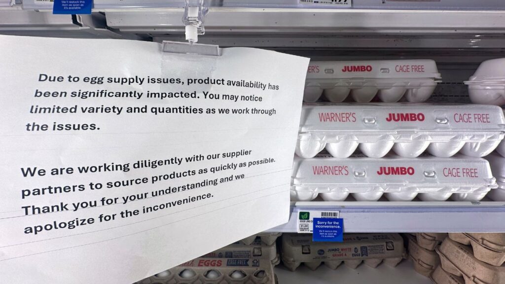 Egg Prices Could Jump Another 41% This Year, USDA Says, as Trump's Bird ...