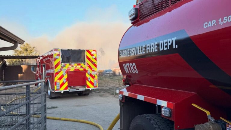 Barn Destroyed in Fast-Moving Visalia Vegetation Fire - GV Wire