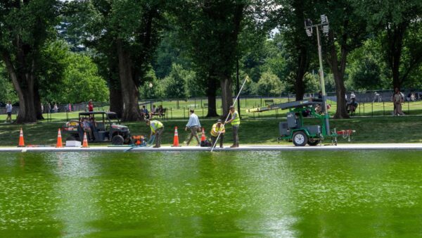 Trump Ordered ‘American Flag Blue’ for the Reflecting Pool. It’s Green ...